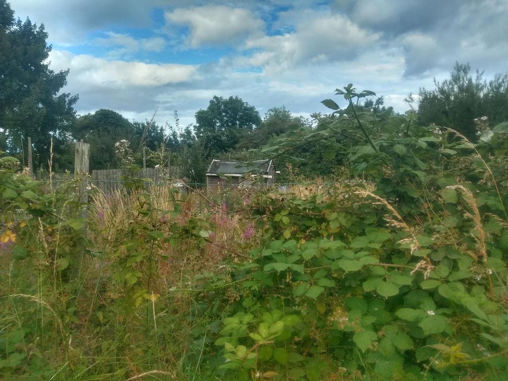 Fifth Row, Linton Colliery, Morpeth... Land - £10,000