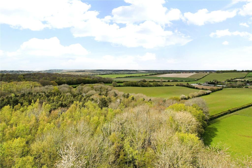 Denge Wood, Garlinge Green, Petham... Land - £395,000