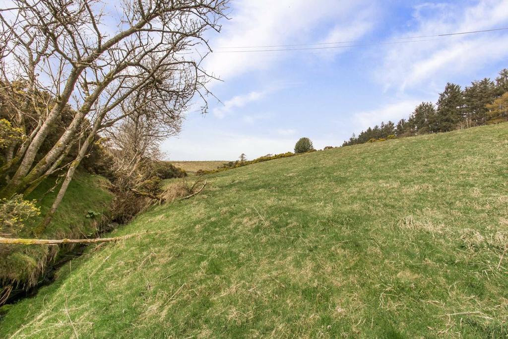 Hill Of St Fink, Alyth, Angus Land - £100,000