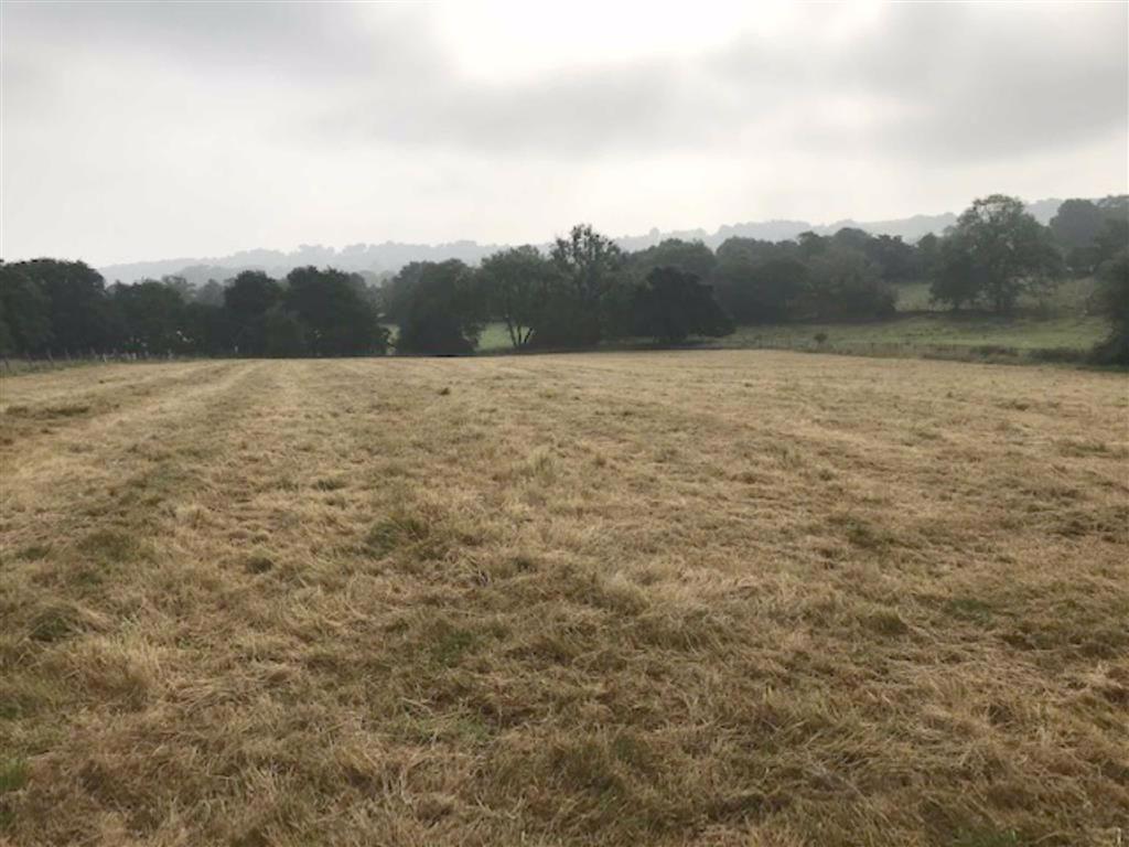 Mill Lane, Wetley Rocks, Staffordshire Land - £35,000