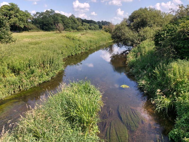Lot 2 - Alvecote Pool, Shuttington... Land - £200,000