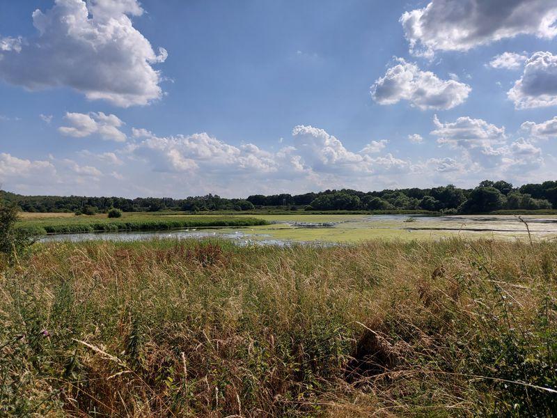 Lot 2 - Alvecote Pool, Shuttington... Land - £200,000