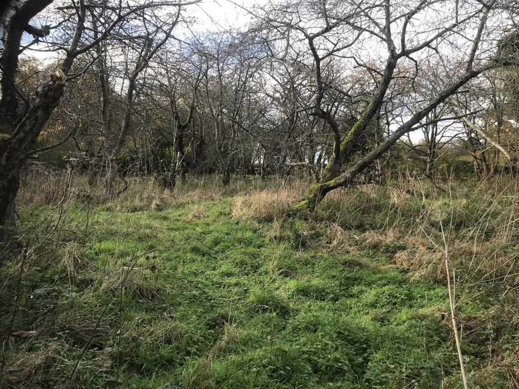 Wick Lane, Woolage Green, Canterbury... Land - £195,000