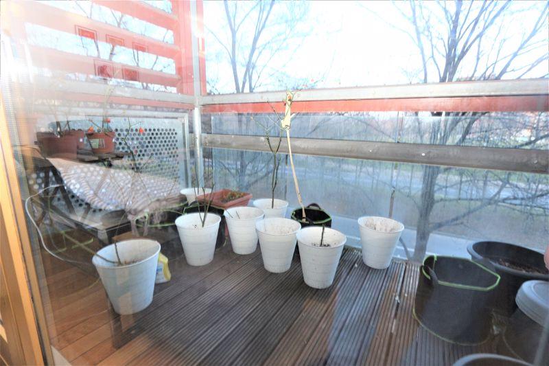West Parkside, Greenwich SE10 1 bed flat to rent - £1,650 pcm (£381 pw)