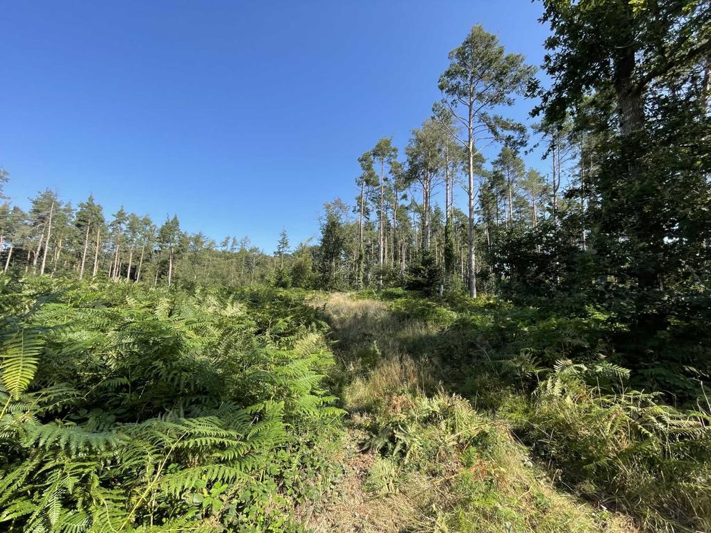 Teffont, Salisbury Land - £115,000