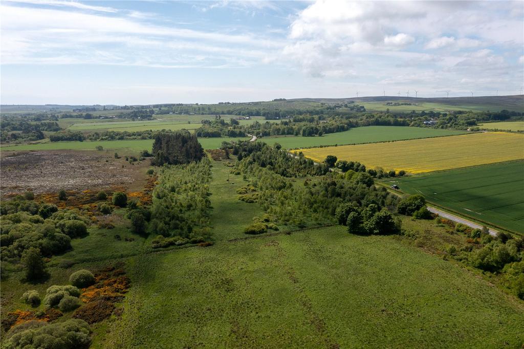 Netherley Woodland, Stonehaven... Land - £40,000