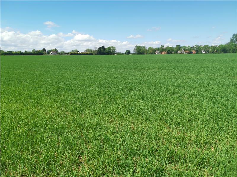 Land At Keysoe Row, Keysoe, Bedford... Farm land - £2,550,000