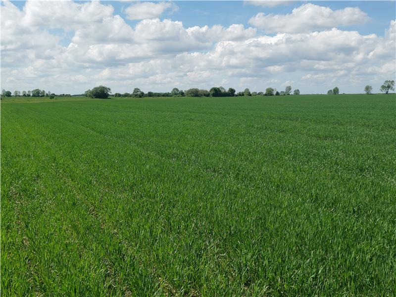 Land At Keysoe Row, Keysoe, Bedford... Farm land - £2,550,000