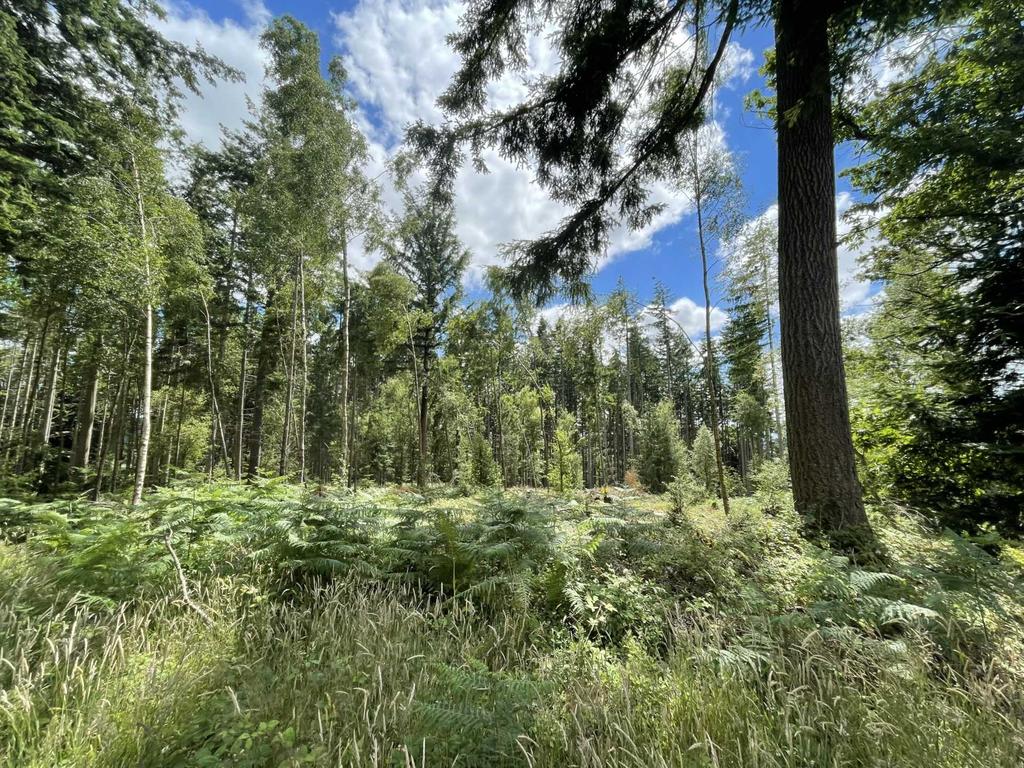 Teffont, Salisbury Land - £60,000