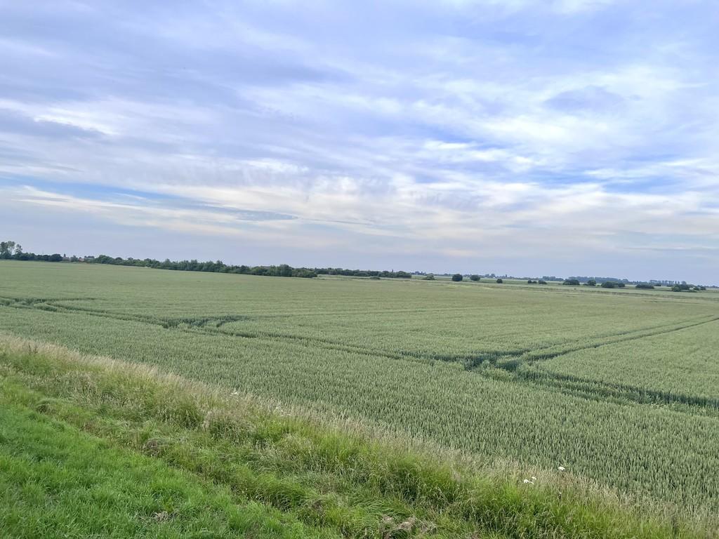 Land - Cowbit Wash, PE12 6XU Land - £0 pcm (£0 pw)