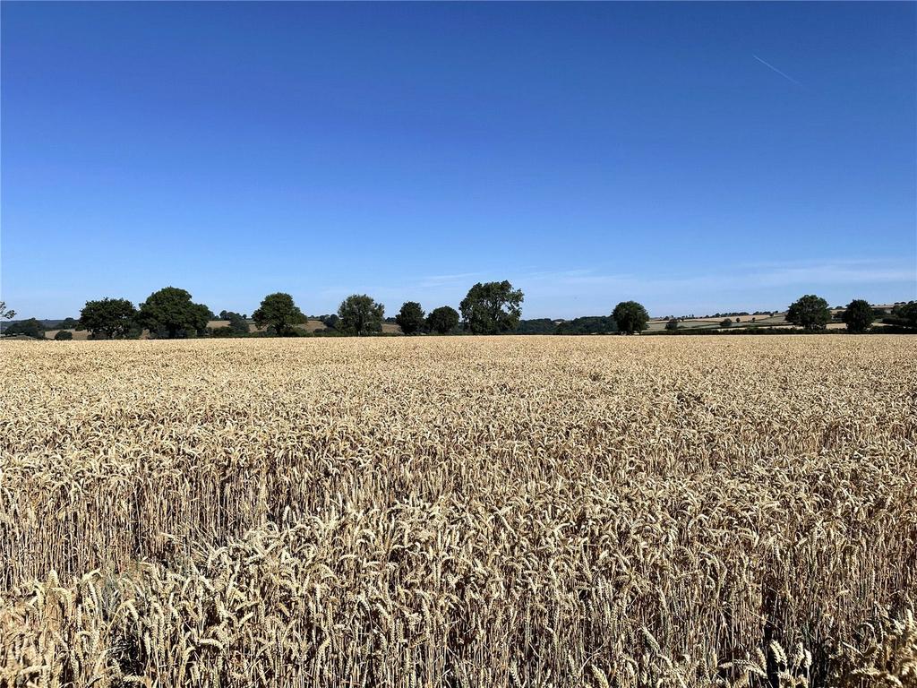 Membury, Axminster, Devon, EX13 Land - £190,000