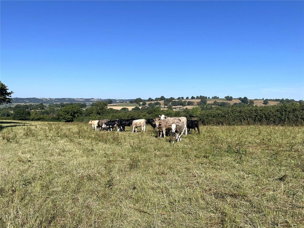 Membury, Axminster, Devon, EX13 Land - £45,000