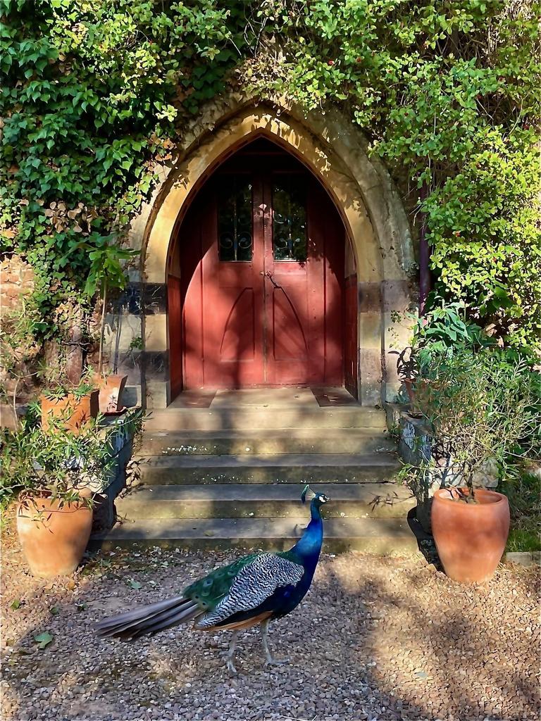 Bishops Court, Exeter, Devon, EX5 7 bed detached house for sale - £ ...