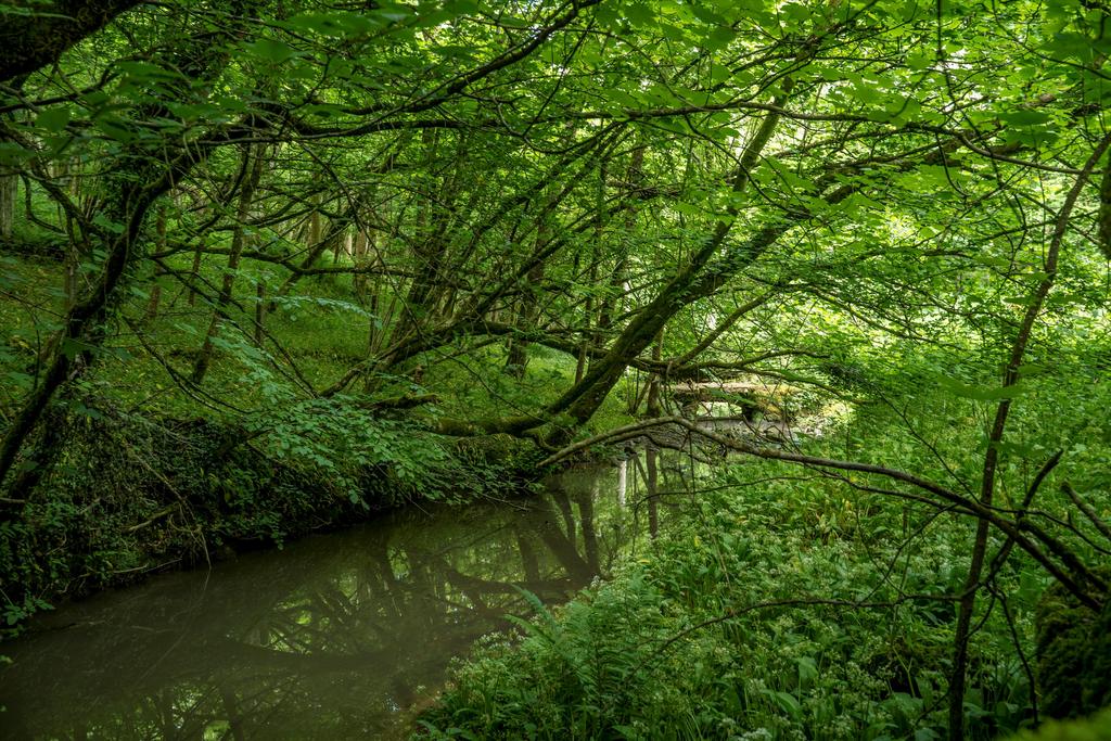 Edgeworth, Gloucestershire, GL6 9 bed detached house for sale - £11,000,000