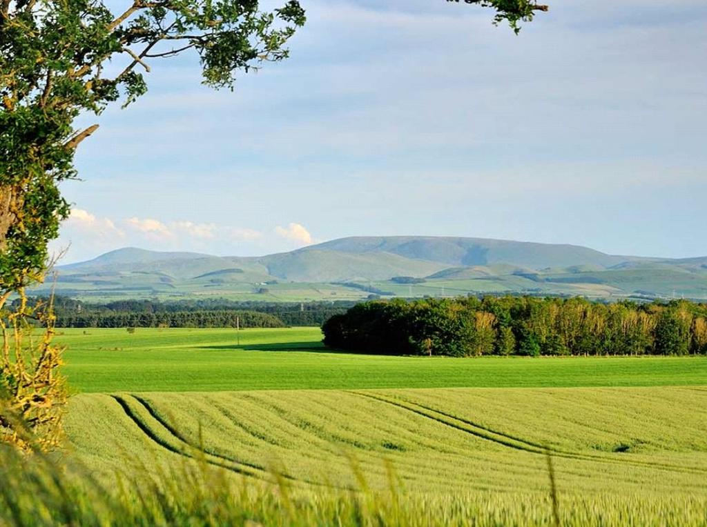 Allanton, Duns, Scottish Borders 4 bed detached house for sale - £575,000