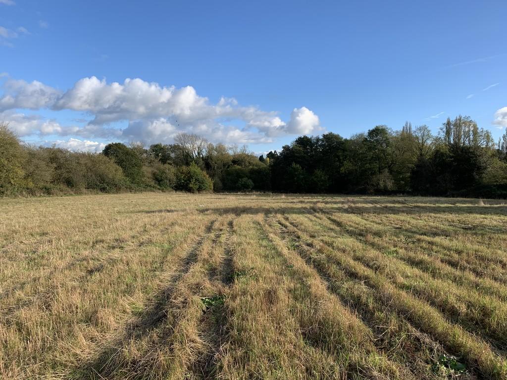 Shrewley Common, Shrewley Land - £60,000