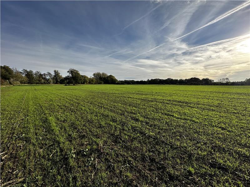 IP26 5NQ Farm land - £180,000