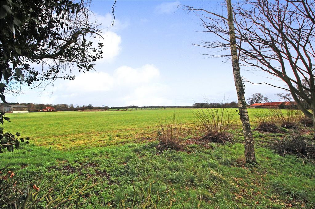 The Street, Bergh Apton, Norwich, Norfolk, NR15 5 bed bungalow - £600,000