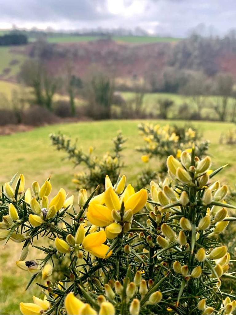 Rhydargaeau Road, Carmarthen SA32 Land - £8,000