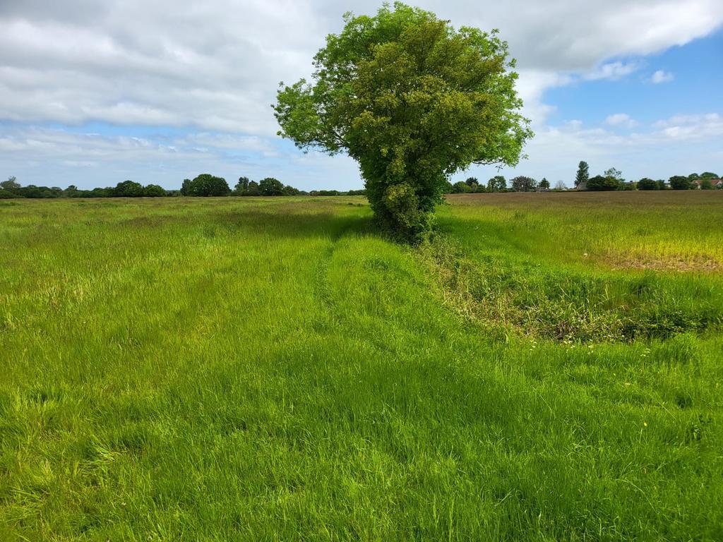Woodgates End, Broxted CM6 Land for sale - £5,000