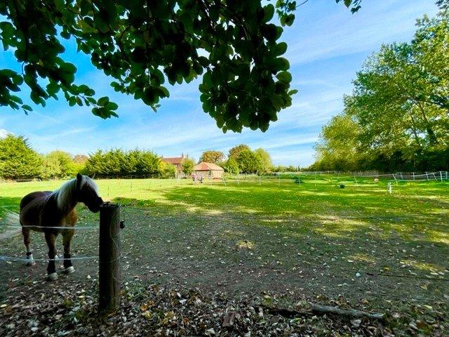 Barrow Hall Farm, Barrow Hall Road... 4 bed equestrian property - £ ...