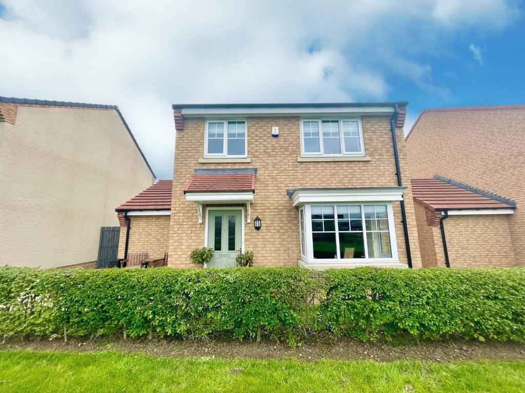 Buttercup Grove, Stainton, Middlesbrough 4 bed detached house for sale ...