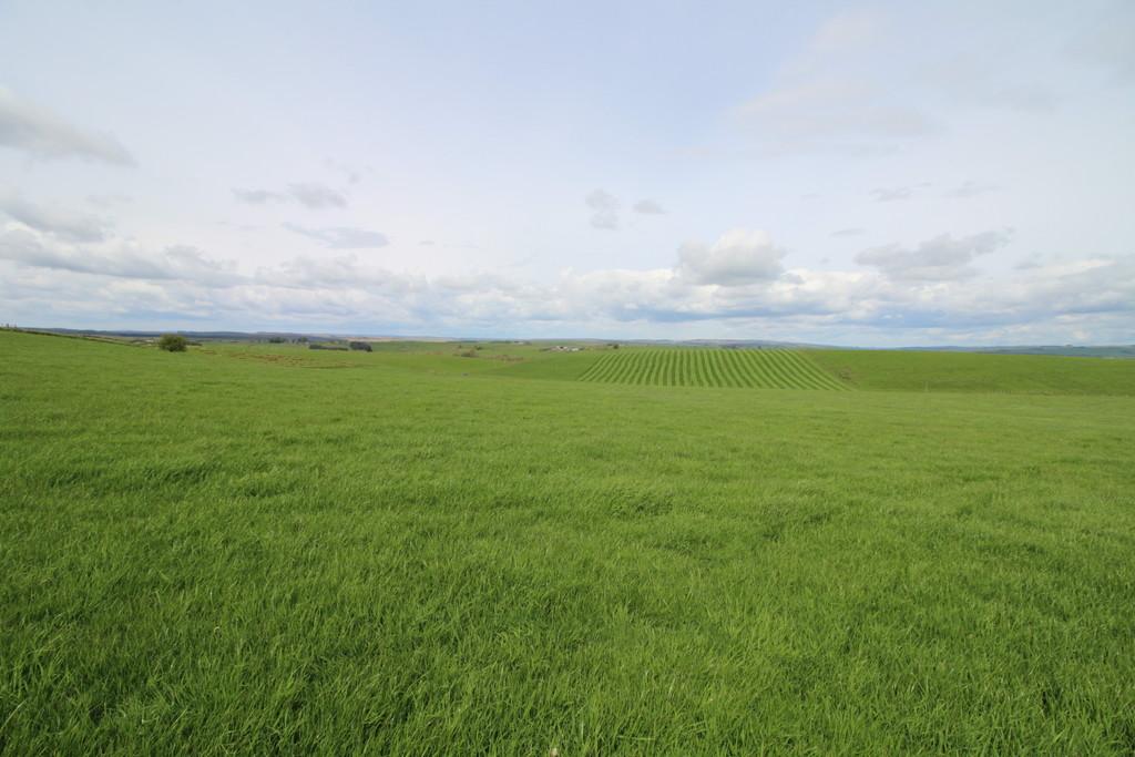 Lot 2 Gofton Farm Land - £275,000