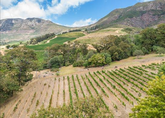 Cape Town, Constantia Land - £600,878