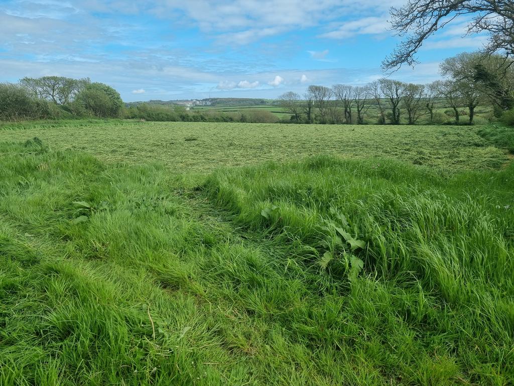 Dale Road, Haverfordwest SA62 Farm land - £210,000