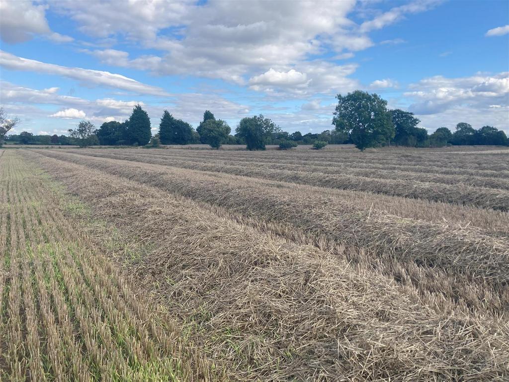 Broad Lane, Cawood Common, Selby Farm land - £58,000