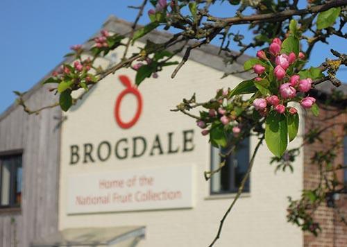 Office 7, Main Farm Office, Brogdale... Office - £242 pcm (£56 pw)