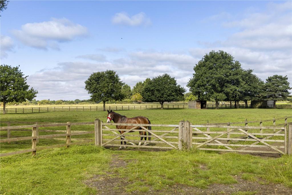 Horsell Common, Woking, Surrey, GU21 4 bed equestrian property - £2,500,000