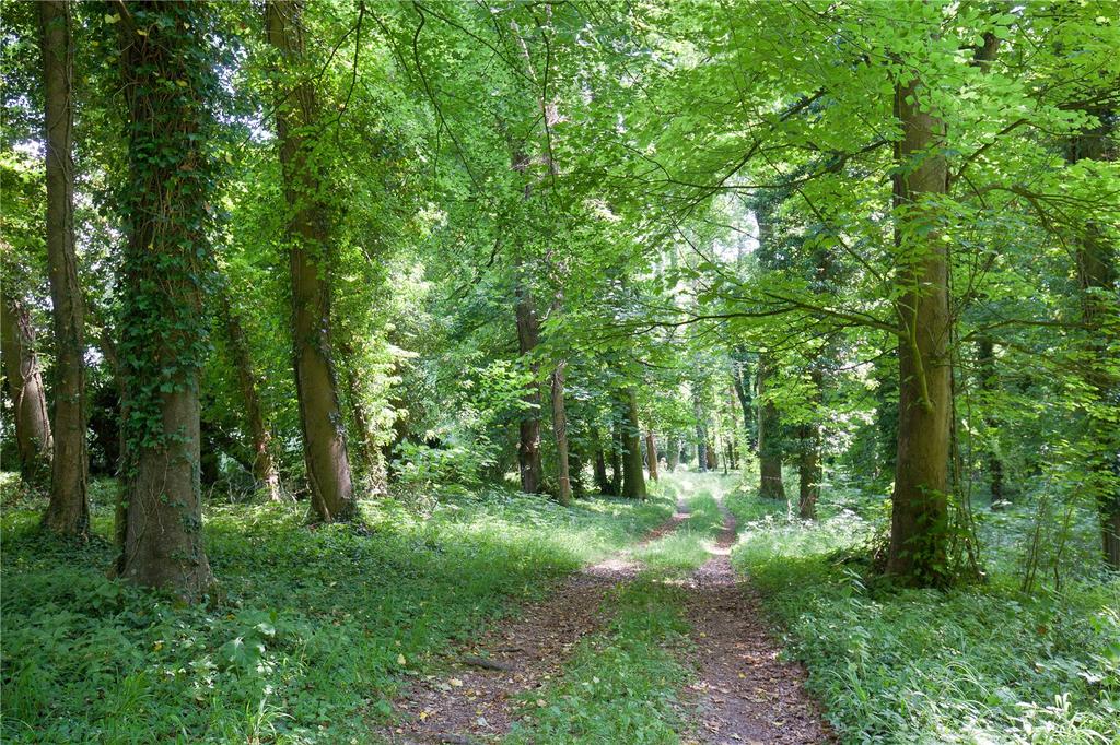 East Knoyle, Salisbury, Wiltshire, SP3 5 bed detached house - £3,000,000