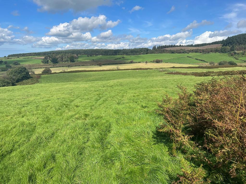 Tynygraig, Ystrad Meurig, SY25 Farm land - £595,000
