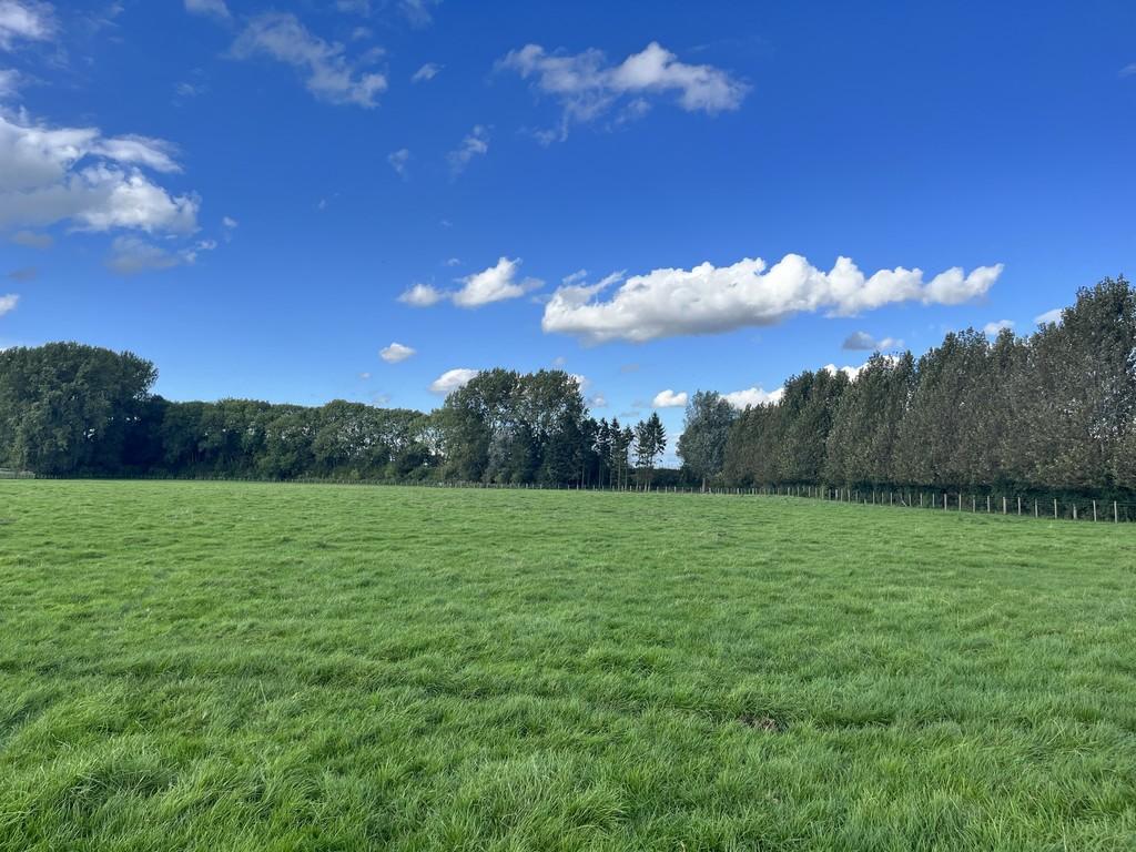 Lot 1- 14.23 Acres, Main Street... Land for sale - £170,000