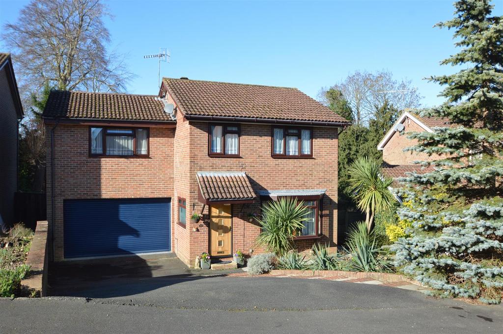 BINSTEAD 4 bed detached house - £429,950