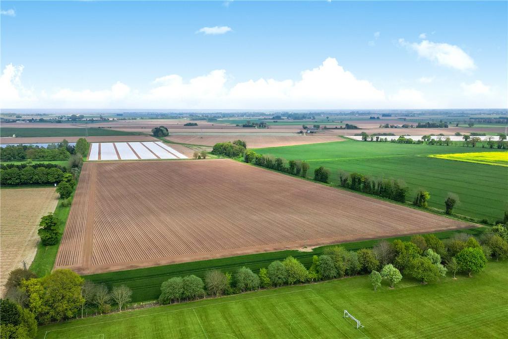 Lot 2 - Hall Marsh Farm, Long Sutton... Land for sale - £210,000