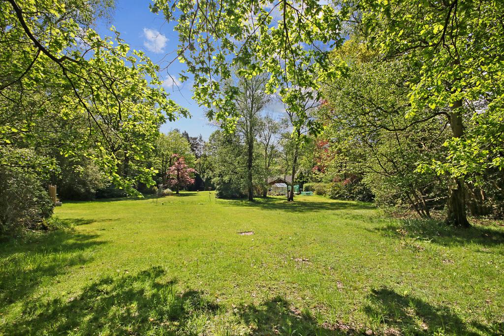 Lake View, Dormans Park, East Grinstead, RH19 4 bed detached bungalow ...