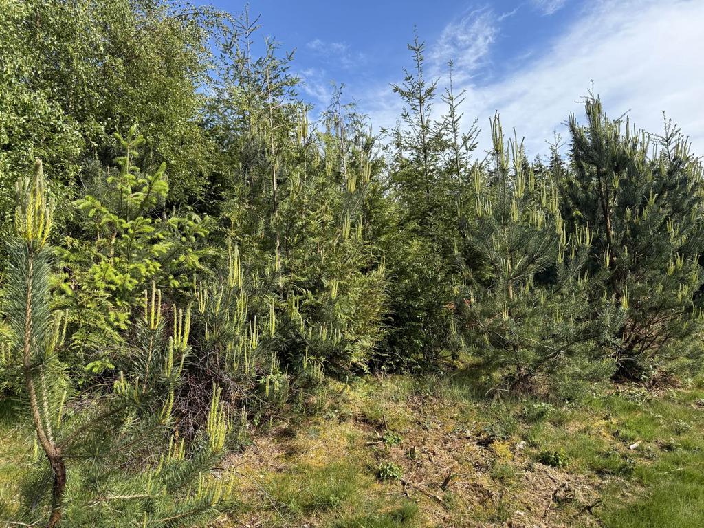 Teffont, Salisbury Land for sale - £75,000