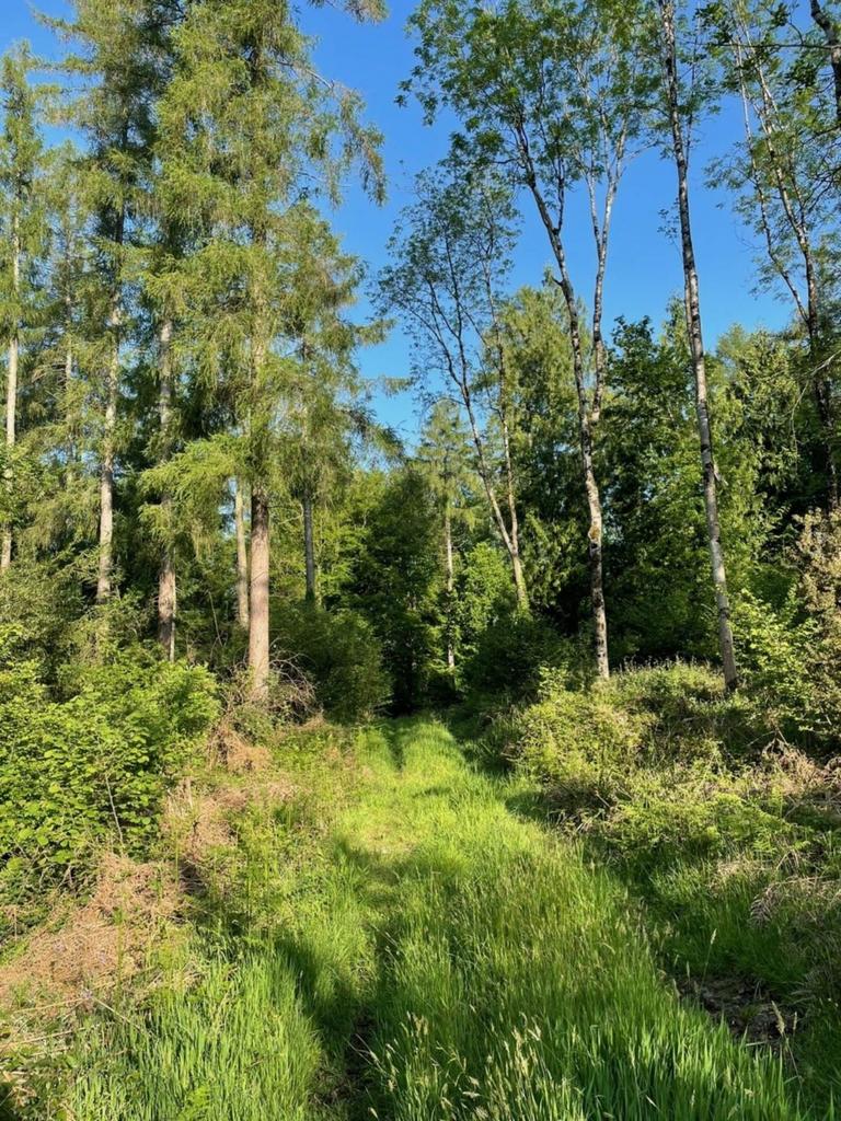 Teffont, Salisbury Land for sale - £100,000
