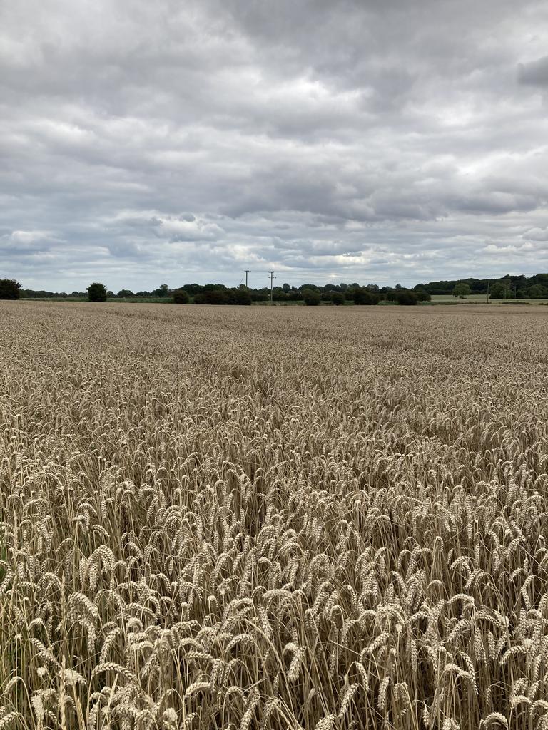 Sproatley, Near Hull Farm land - £75,000