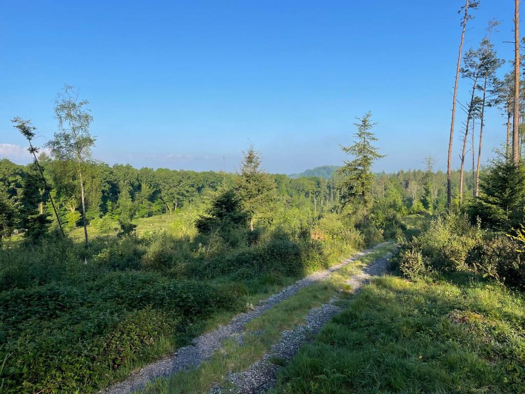 Teffont, Salisbury Land - £65,000