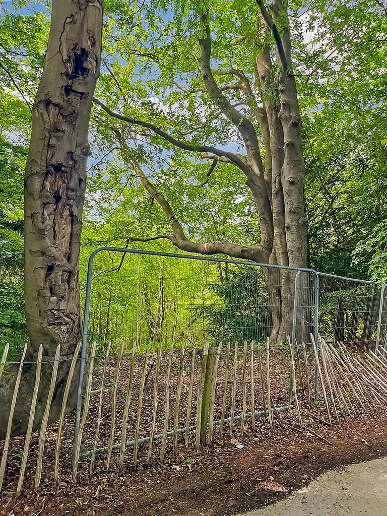 Ridge Lane, Meopham, Gravesend, Kent Land for sale - Sale by tender