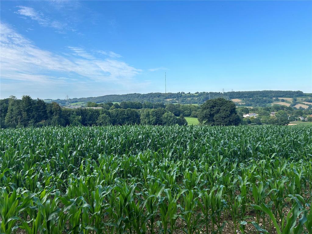 Wilmington, Honiton, Devon, EX14 Land - Sale by tender