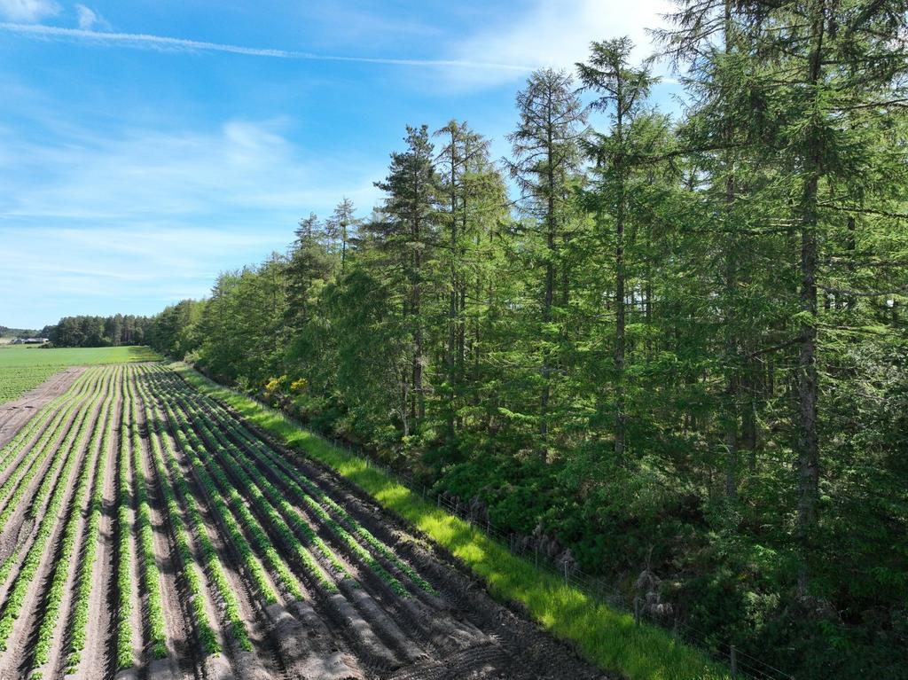 Lot 3 - Burnside Woodland, Killen... Land - £180,000
