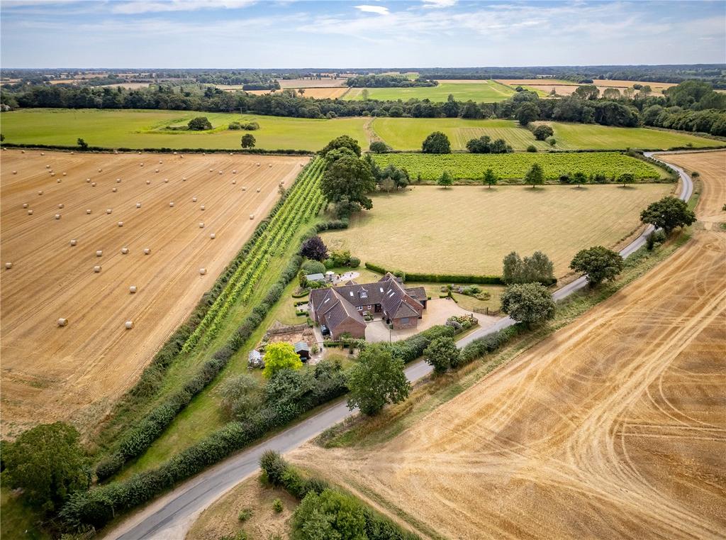 Whiteheath Road, Bergh Apton... 7 bed detached house - £875,000