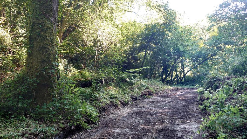 Prideaux Road, St. Blazey, Par Farm land - £35,000