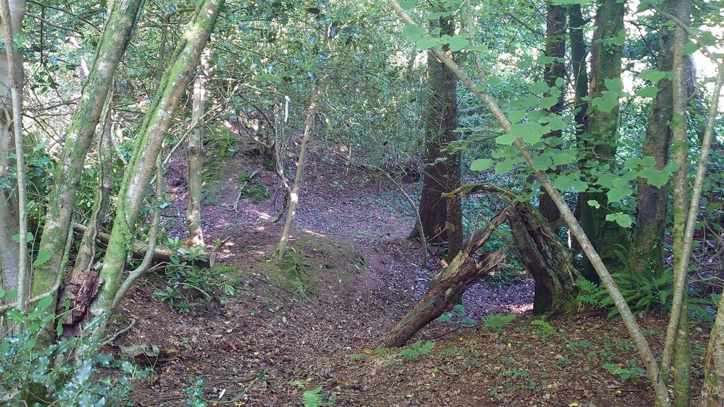 Prideaux Road, St. Blazey, Par Farm land - £35,000