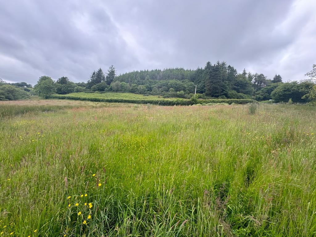 Rhydcymerau, Llandeilo, SA19 Farm land for sale - £60,000