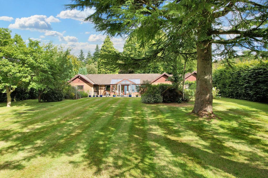 Marley Common, Haslemere, Surrey, GU27 3 bed bungalow for sale - £1,300,000